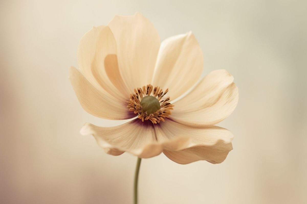 Menopause | DermaScience Medical Spa